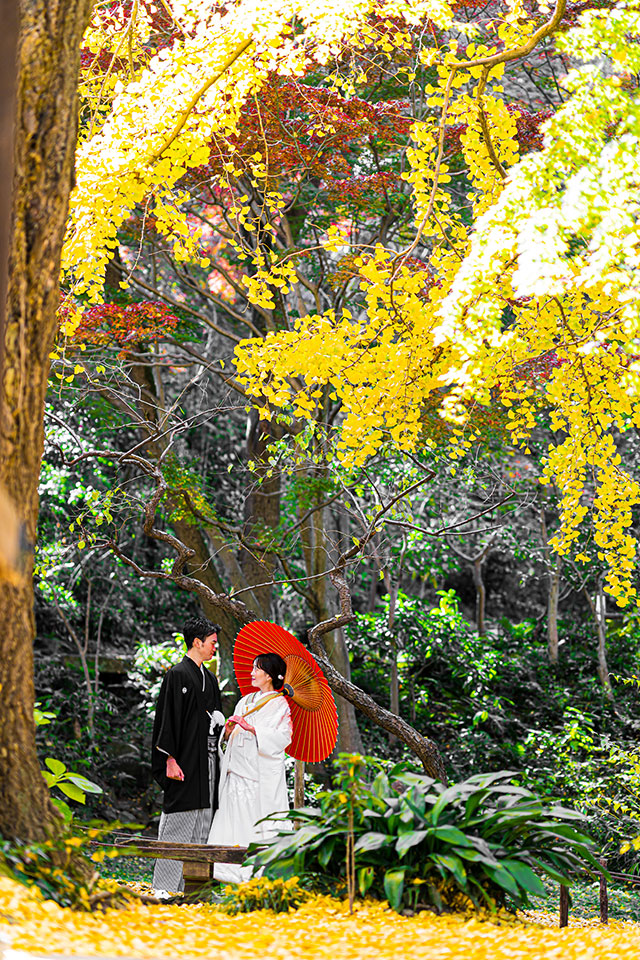 インフォメーション│BP Photo Studio - BPフォトスタジオ【横浜のウエディングフォトスタジオ】